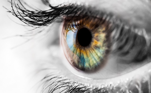 Symphony Lens: Meaning, Benefits, How It Works And Limitations